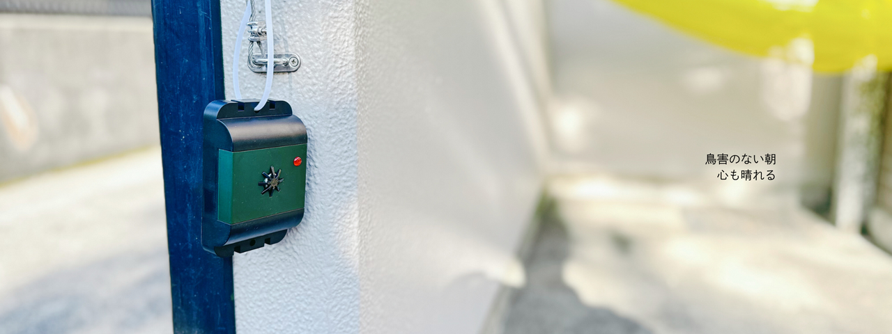 ISOTRONIC公式オンラインショップ